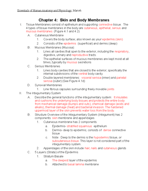 Chapter 15 Outline-LP - Essentials of Anatomy and Physiology, Marieb ...