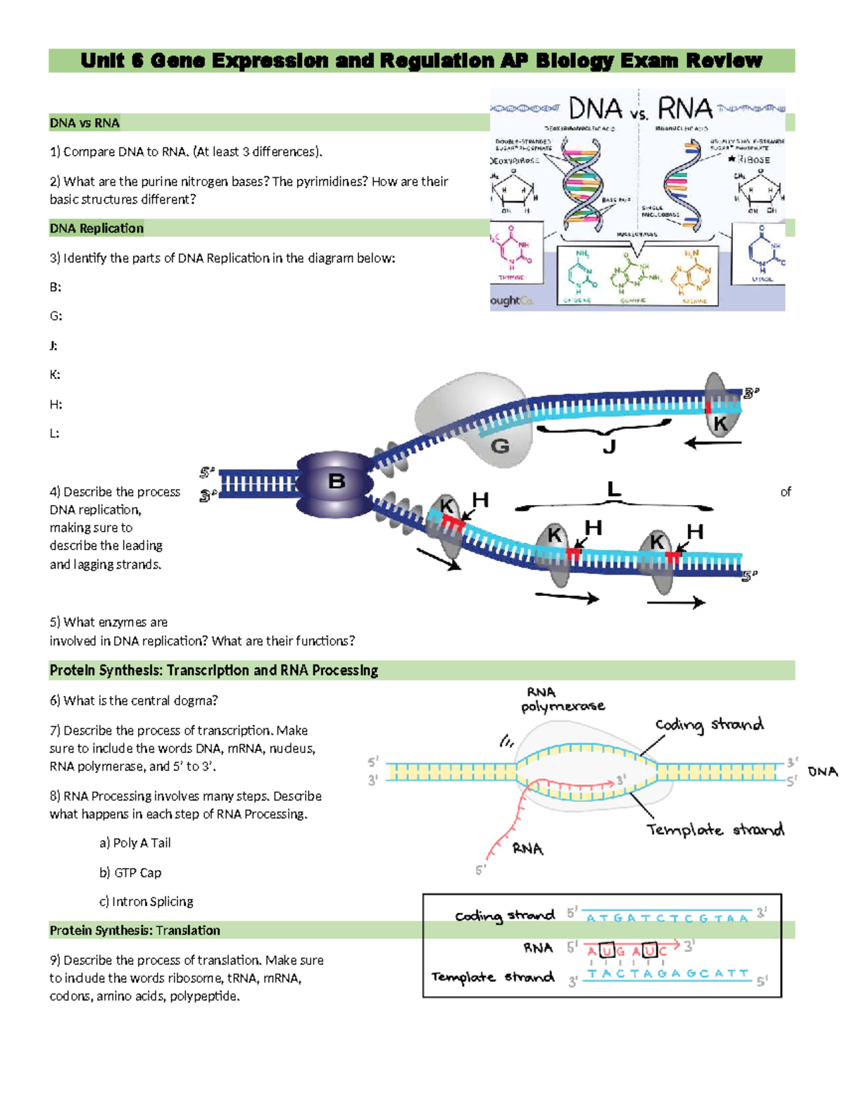 Unit 6 AP Bio Exam Review: Gene Expression & Regulation Insights - Studocu