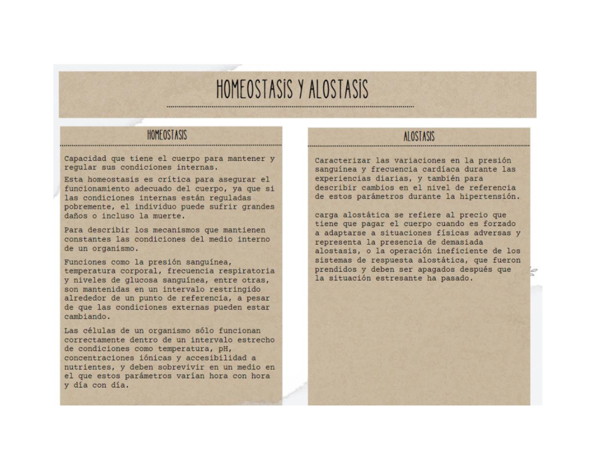 Cuadro Comparativo - HOMEOSTASiS Y ALOSTASIS HOMEOSTASIS ALOSTASIS ...