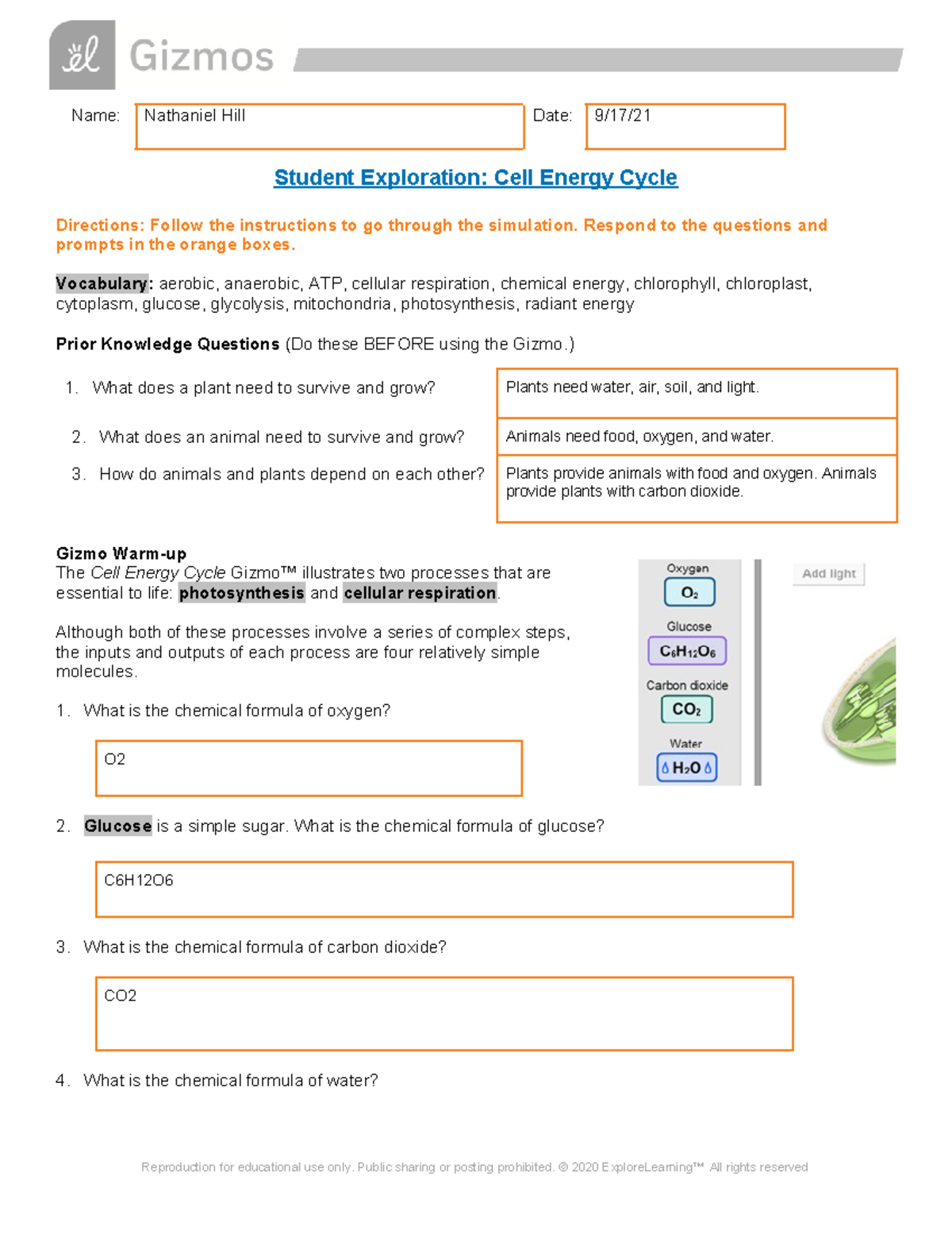 Cell Energy Cycle Exploration: Photosynthesis & Respiration SE - Studocu