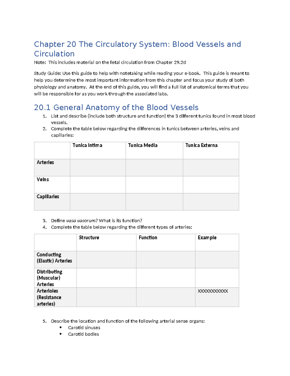 Study Guide for CH20: The Circulatory System - Blood Vessels & Flow ...