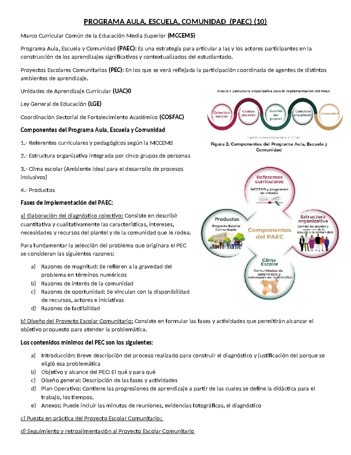 Guía PAEC: Estructura y Estrategias Educativas en Educación Media ...