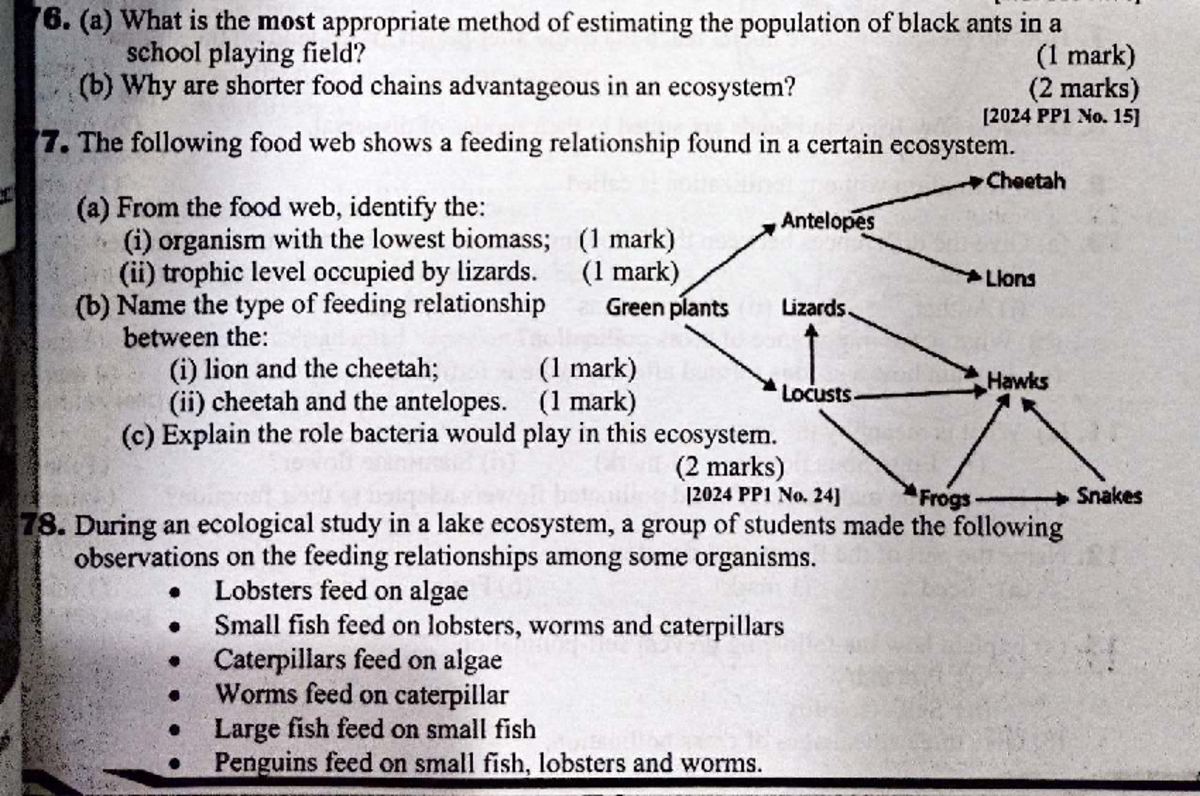 Ecology - PP1 No. Food Webs and Ecosystem Relationships Study Guide ...