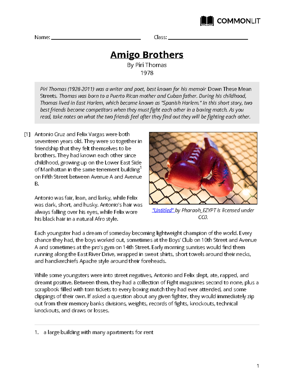 Amigo Brothers Analysis and Discussion Notes - Literature 101 - Studocu