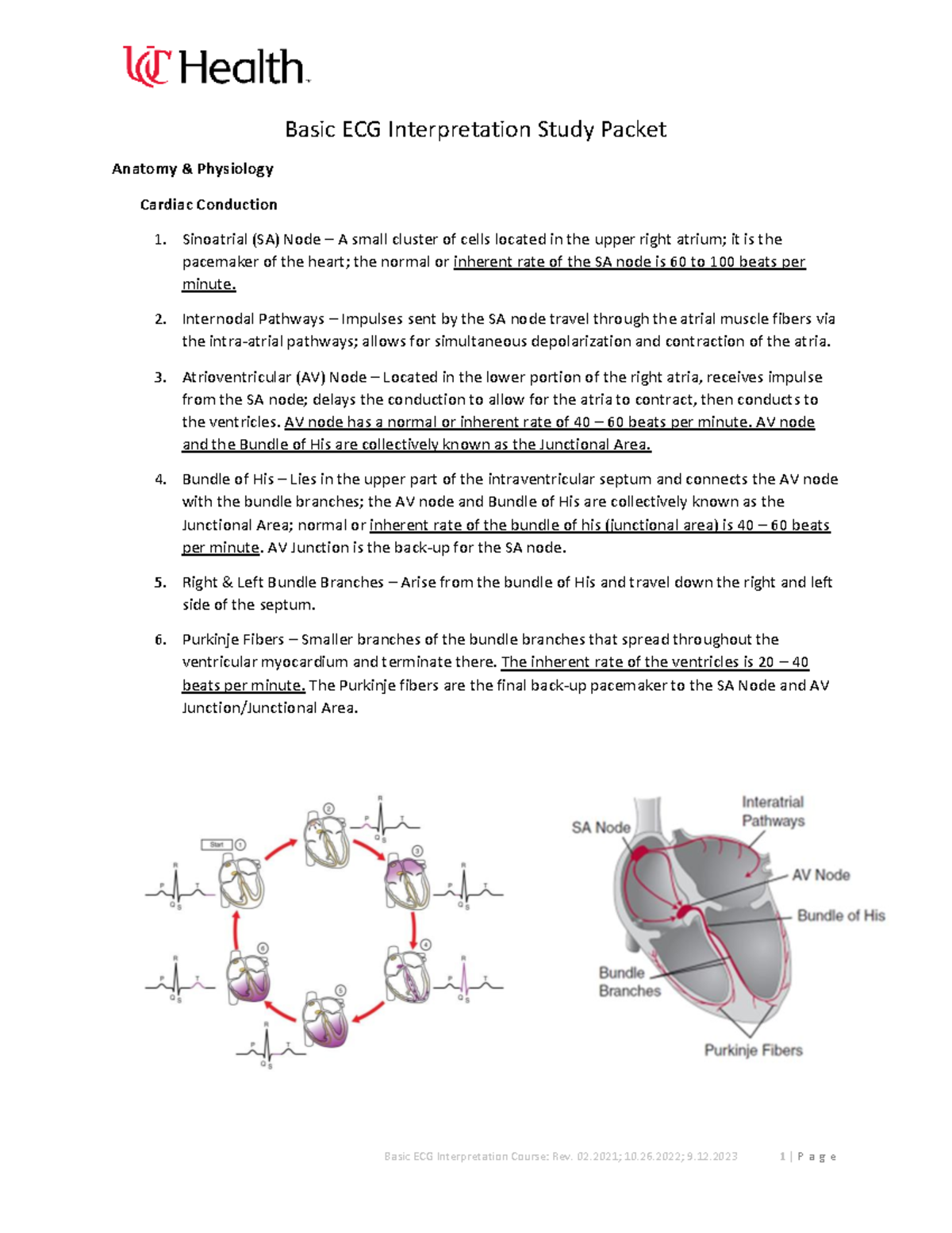 Basic ECG Interpretation Course: Key Concepts & Cardiac Rhythms ...