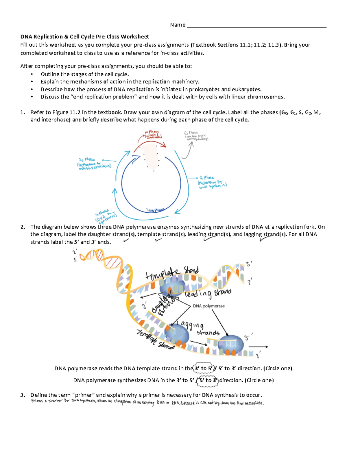 Week 9a Pre-Class Reading Guide: DNA Replication & Cell Cycle - Studocu