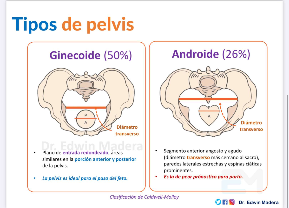 Tipos de Pelvis en Obstetricia - Dr. Edwin Madera - Studocu