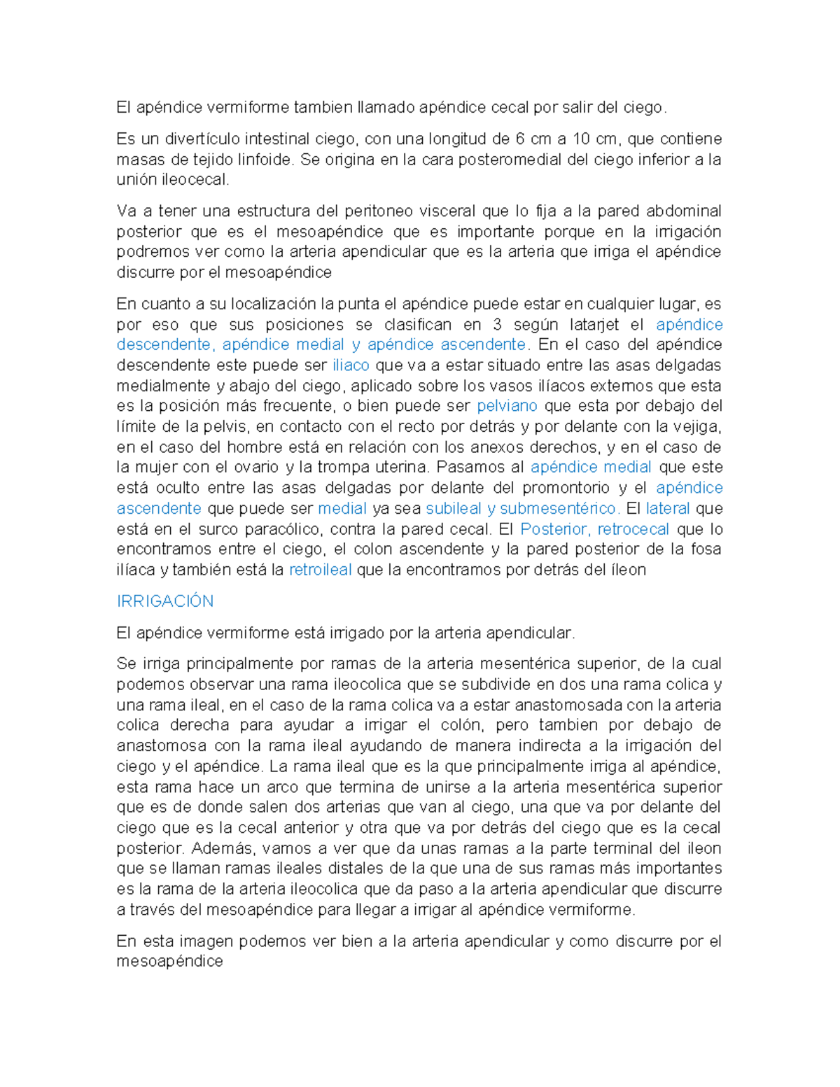 Apéndice exposición - Resumen de anatomia de apendice - El apéndice ...