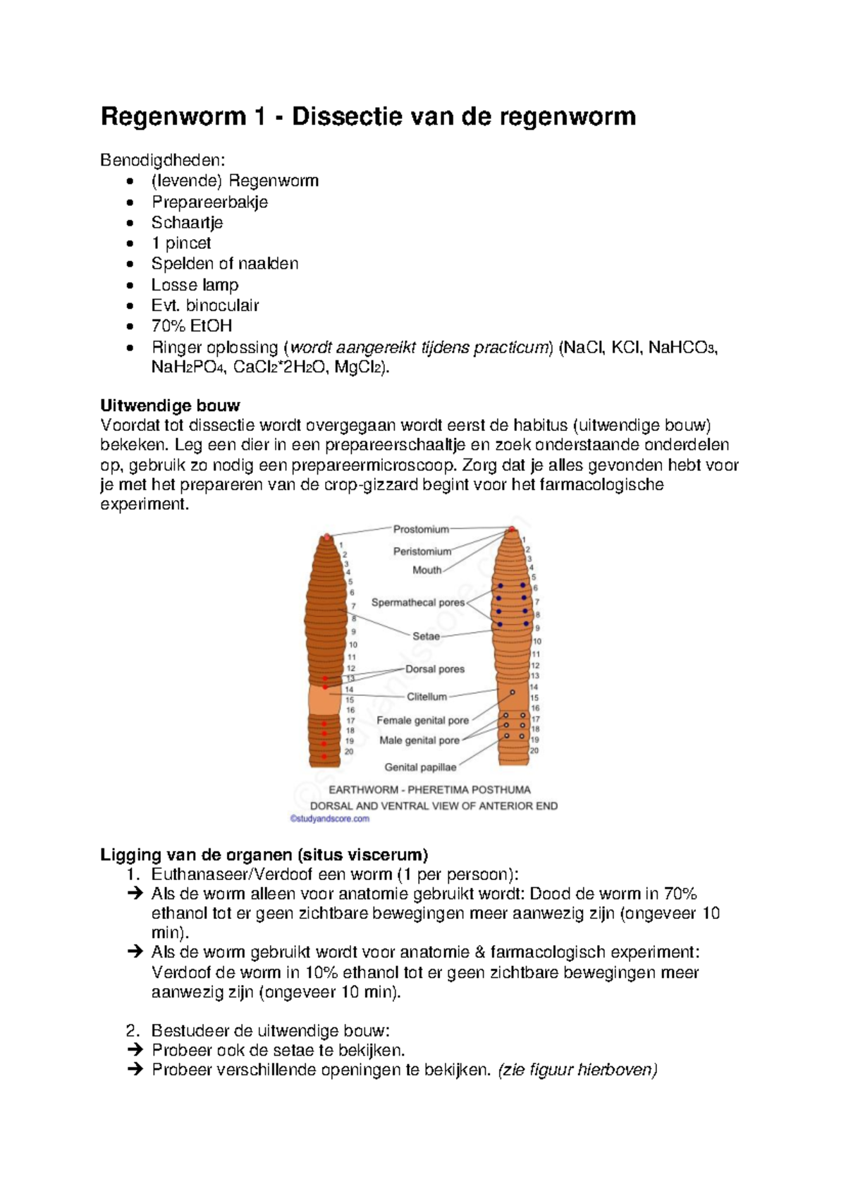 Regenworm 1 - Protocol voor Dissectie en Anatomie 20220405 RDr ...