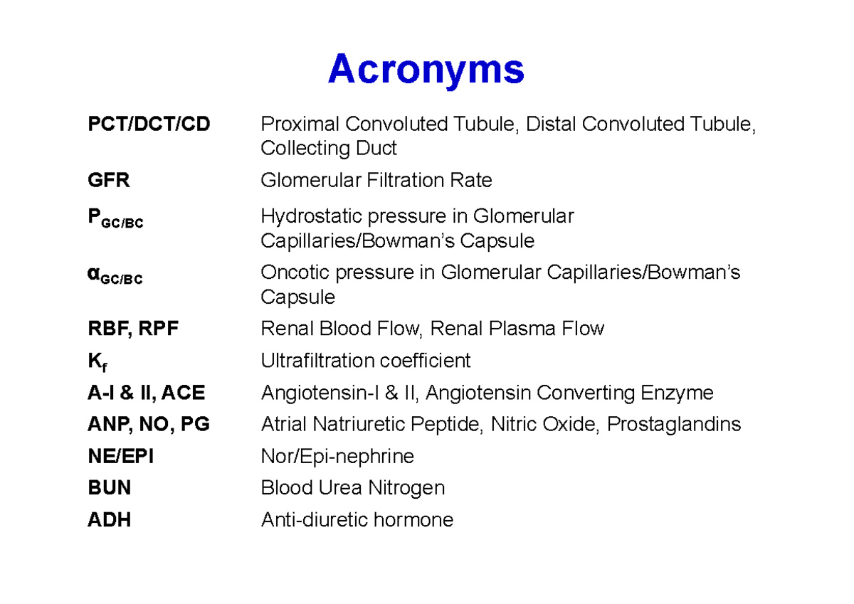 Renal Lesson- 1 Renal Organization and Function - Acronyms PCT/DCT/CD ...