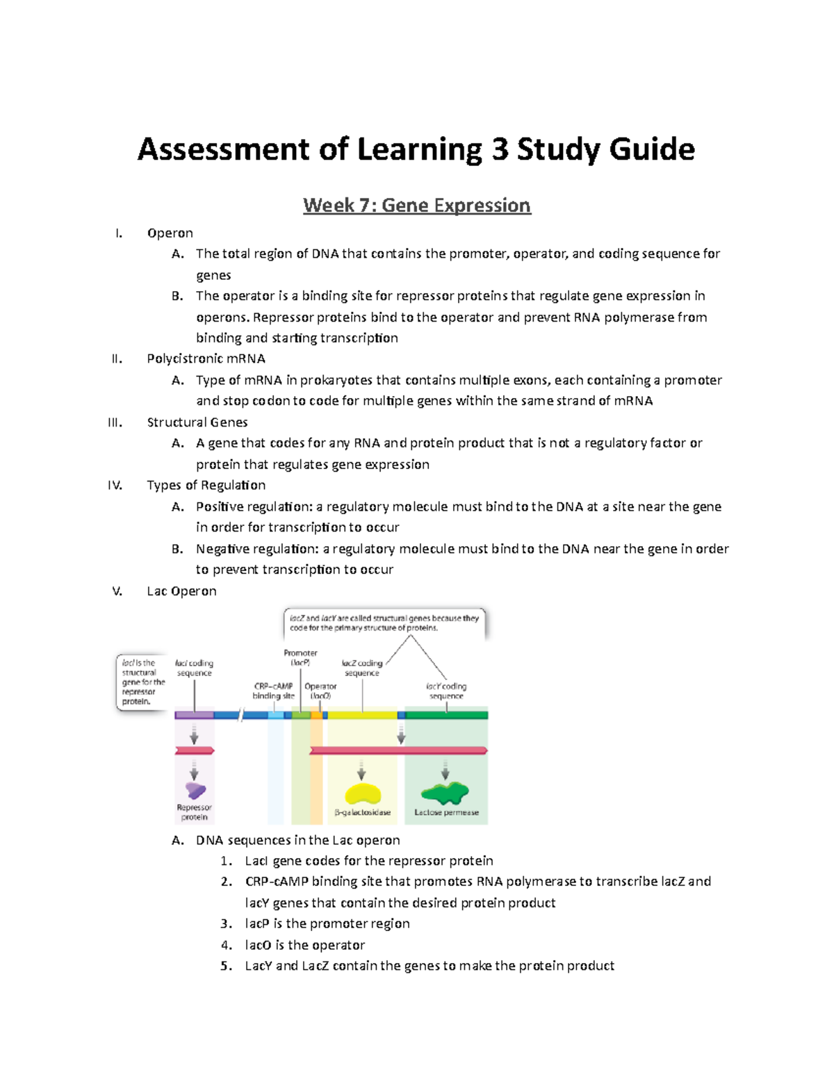 Ao L 3 Study Guide - Notes taken based on the required NEW information ...