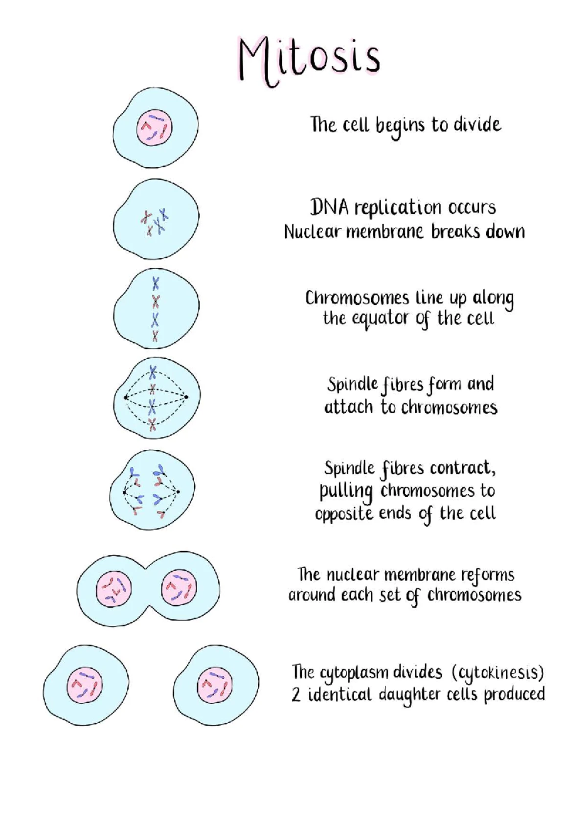 2025 LO ATP Gr 12 - Life Orientation Teaching Plans Overview - Studocu