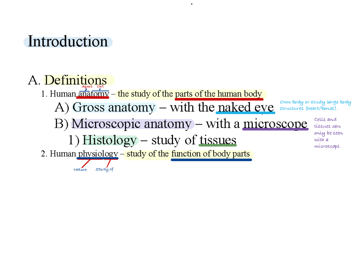 Human Anatomy and Physiology Overview: Key Concepts and Terms ...