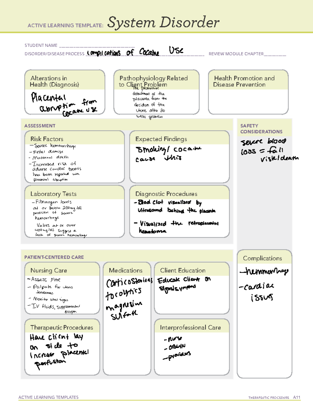 ATI Complications of Cocaine Use: Active Learning Template Guidance ...