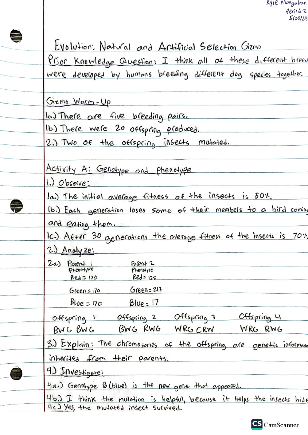 Natural vs. Artificial Selection: Gizmo Exploration Guide - Studocu