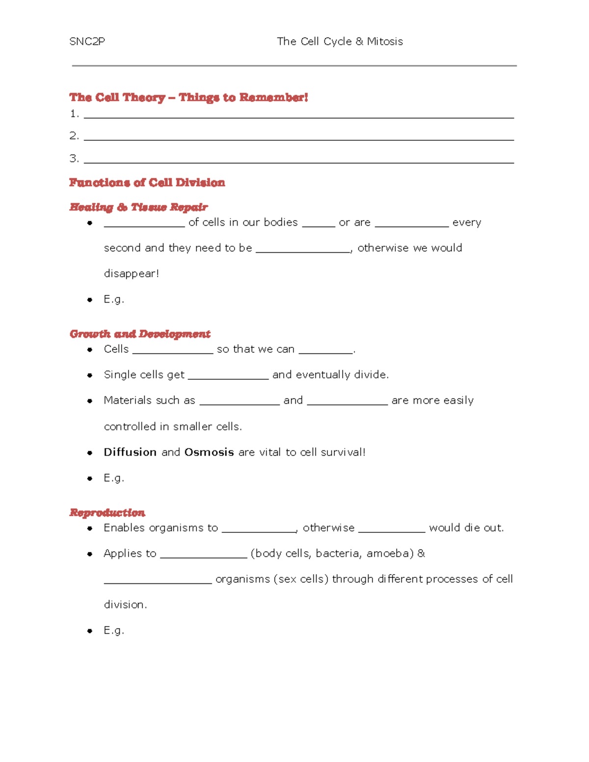 SNC2P Final Exam Handout: The Cell Cycle & Mitosis Overview - Studocu