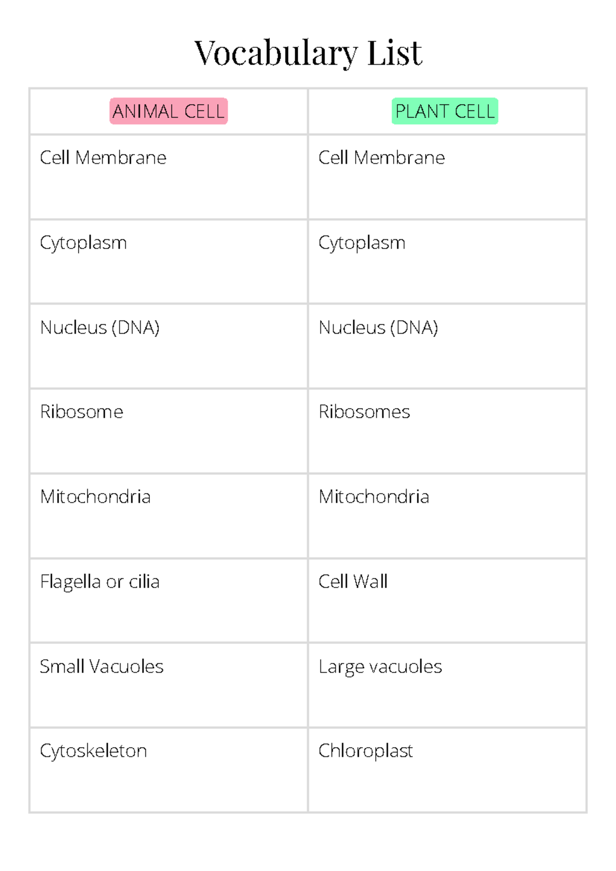Vocabulary List - ED5959 - Vocabulary List ANIMAL CELL PLANT CELL Cell ...
