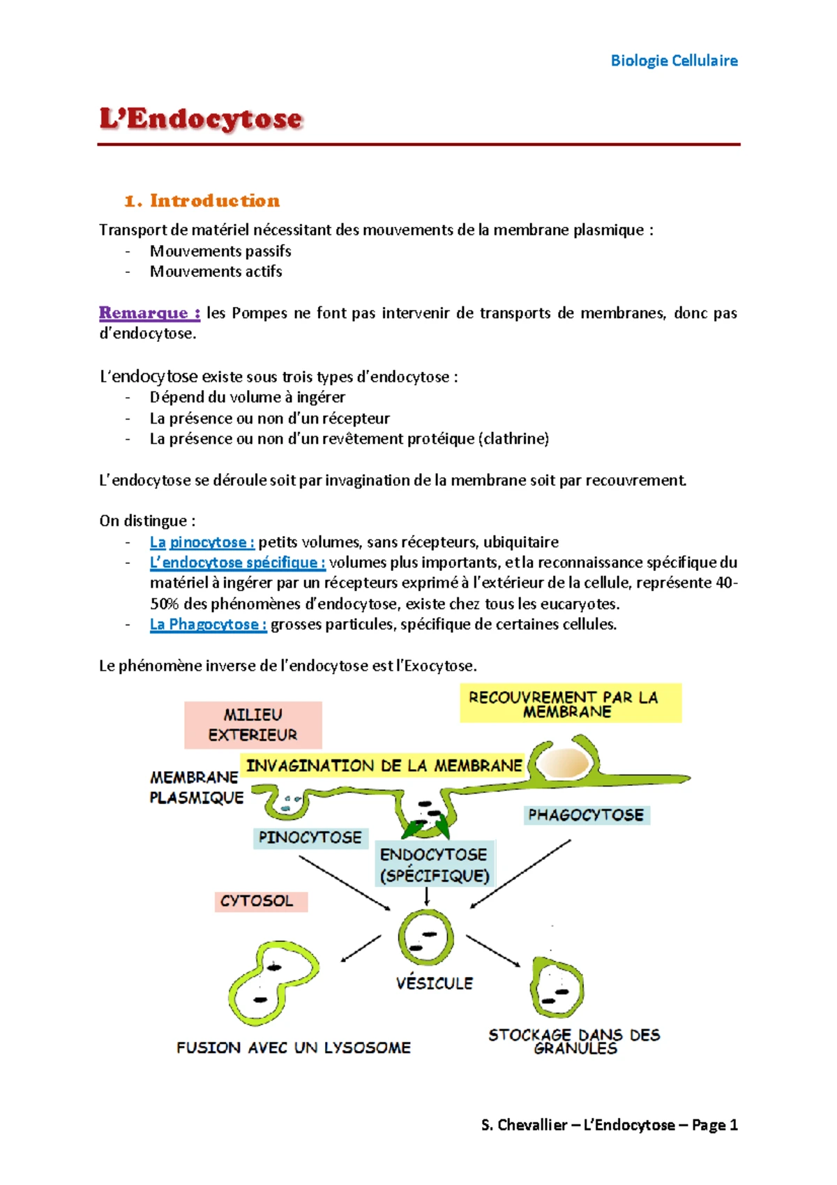Les sélectines et les intégrines - Les sélectines Elles participent à ...