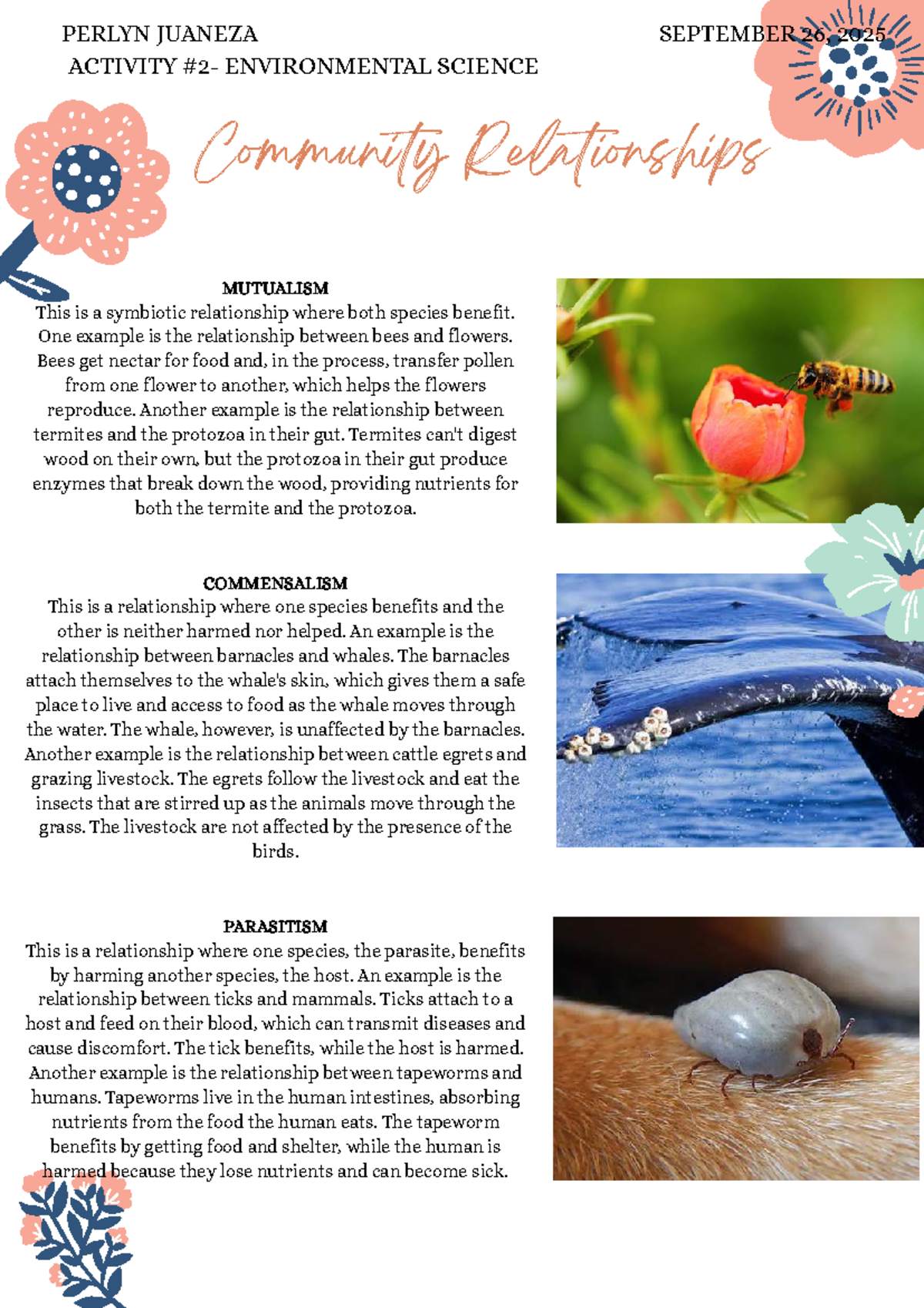 ENV SCI 101: Community Relationships - Mutualism, Commensalism ...