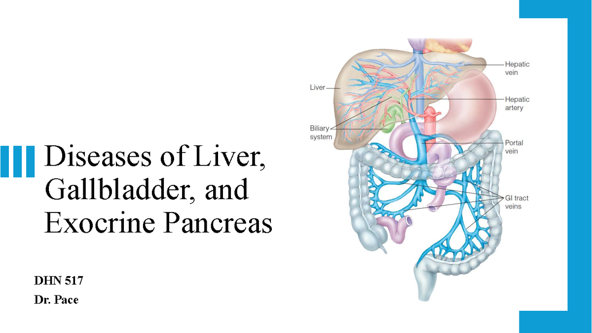 Liver, Gallbladder & Exocrine Pancreas Overview - DHN 517 - Studocu