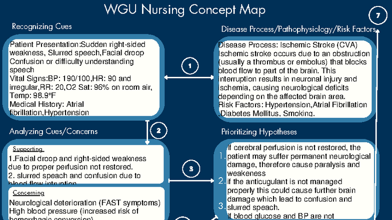 WGU Nursing Concept Map: Ischemic Stroke Management & Patient Care - Studocu