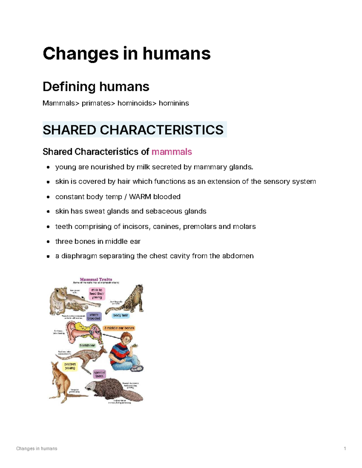UNIT 4 Changes in Humans: Shared Characteristics and Evolutionary ...