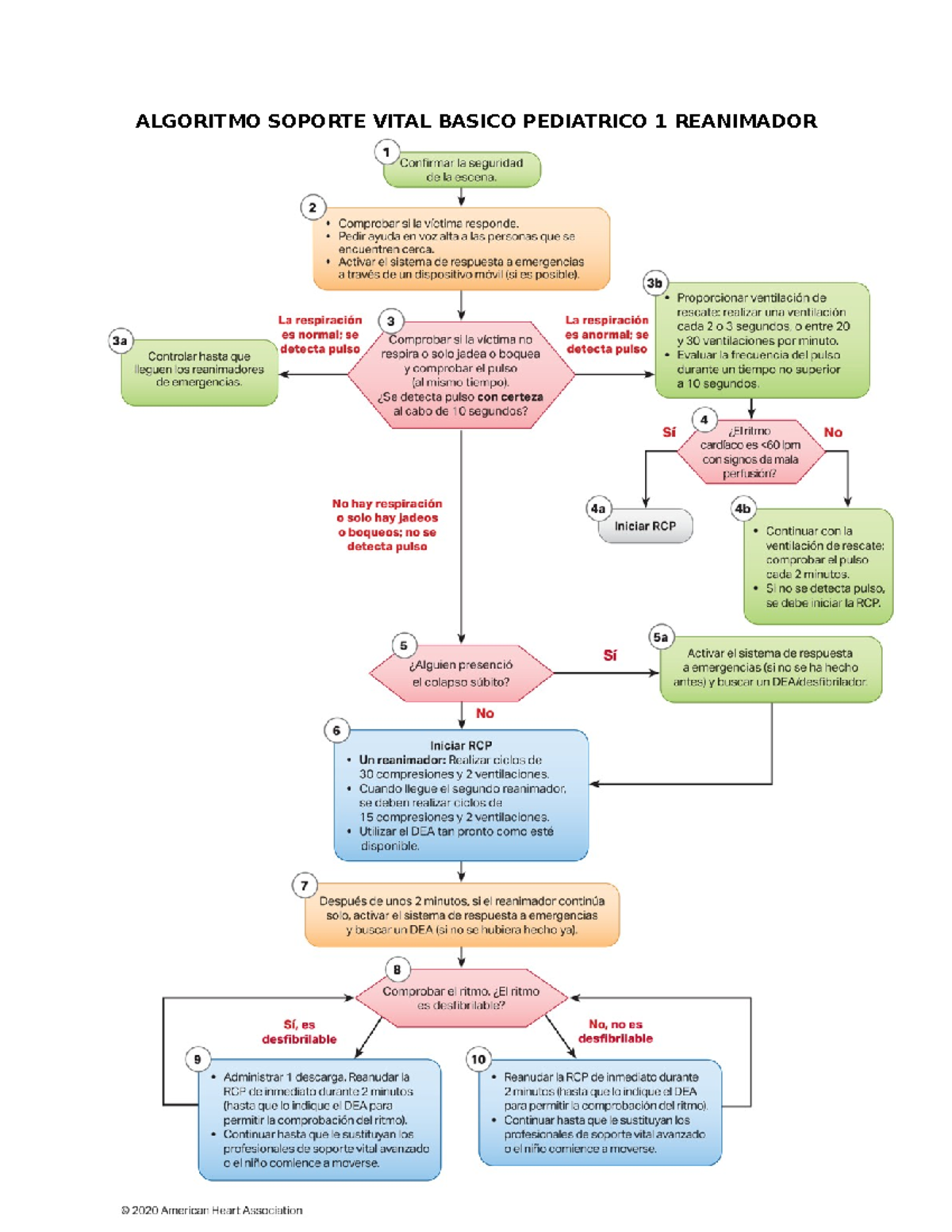 Algoritmos PALS y Reanimación Pediátrica: Soporte Vital Básico - Studocu