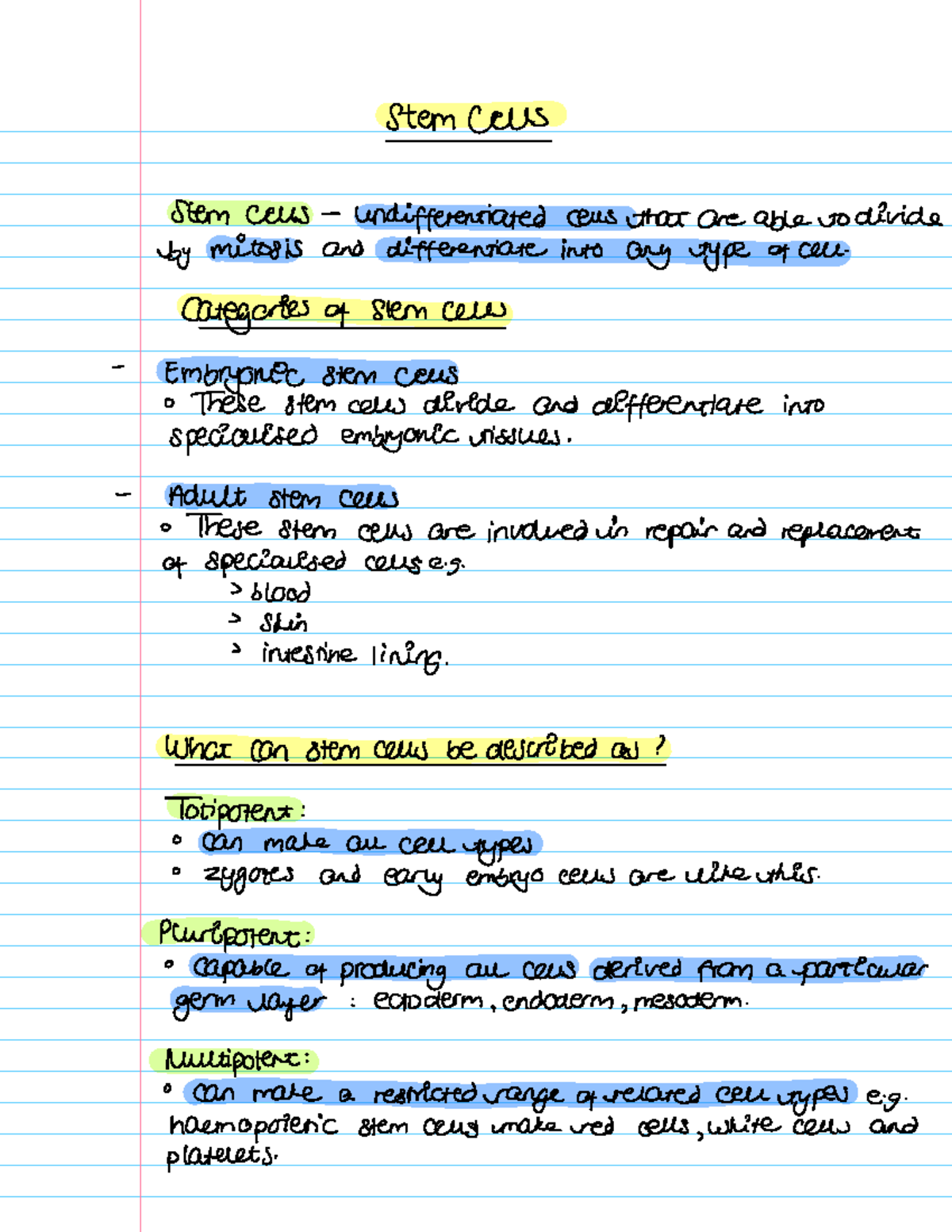 Stem Cells: Types, Functions, and Potential Treatments (BIO101) - Studocu