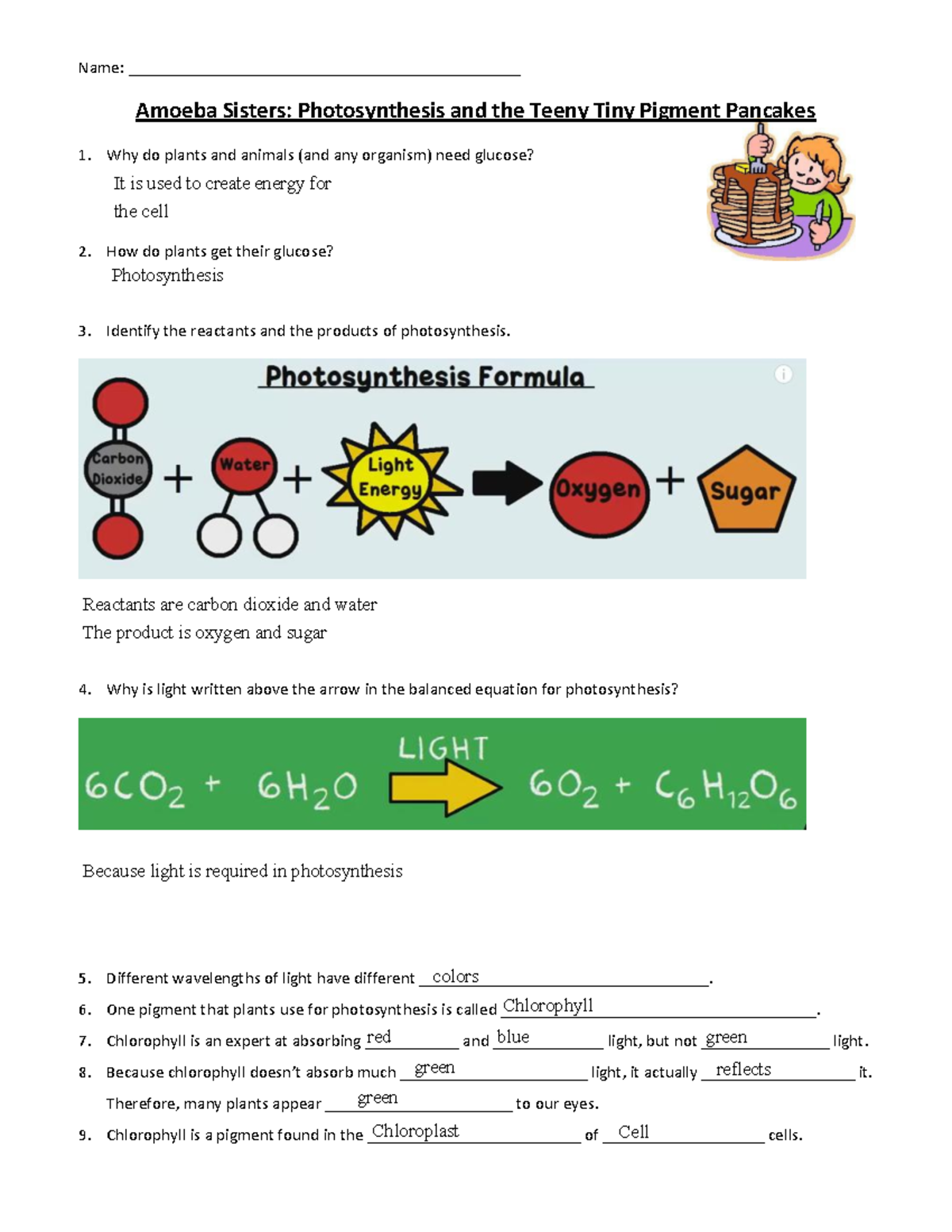 Amoeba Sisters Photosynthesis Video Worksheet: Key Concepts & Q&A - Studocu