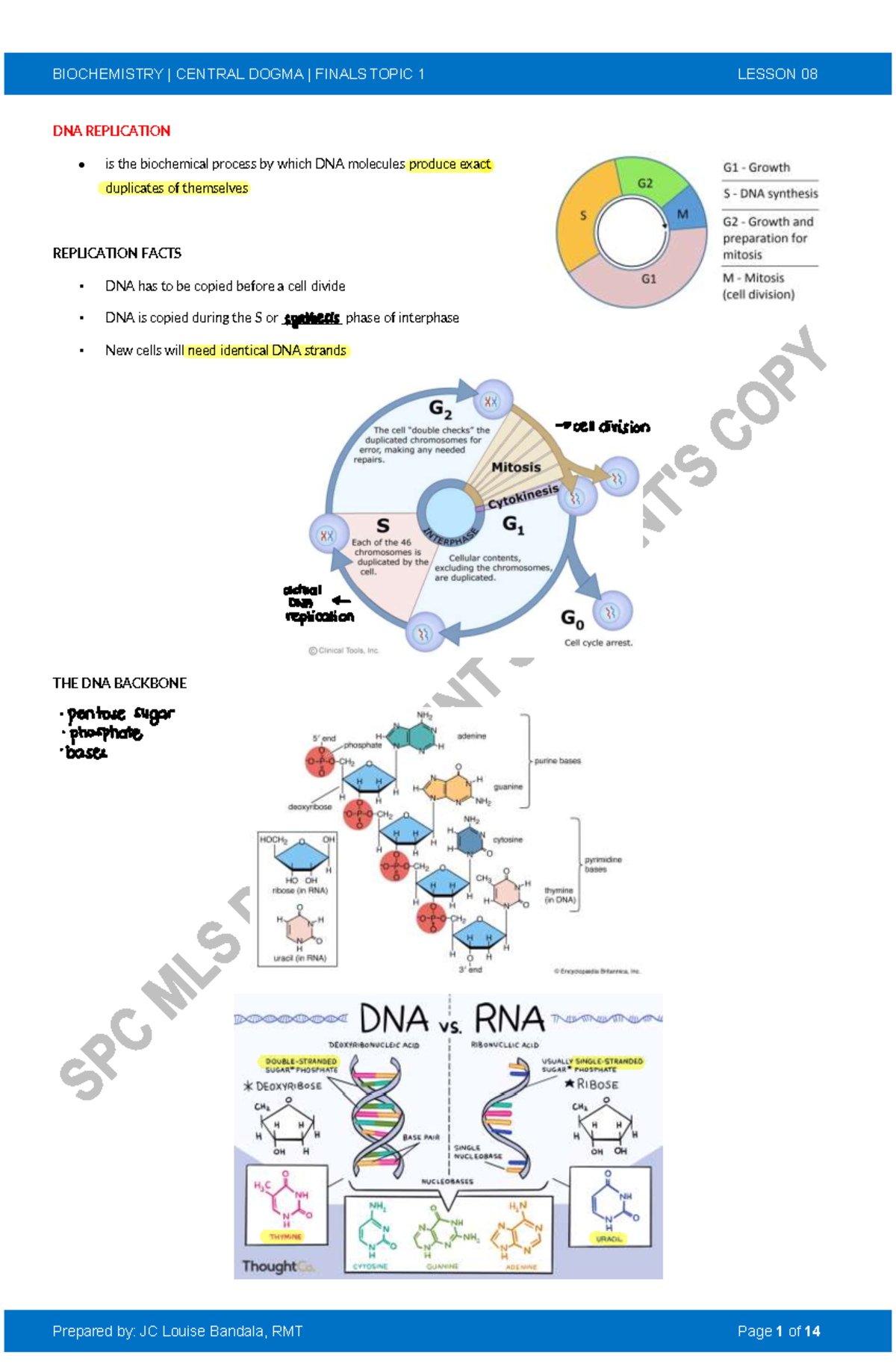 Central DOGMA- Biochemistry - DNA REPLICATION • is the biochemical ...