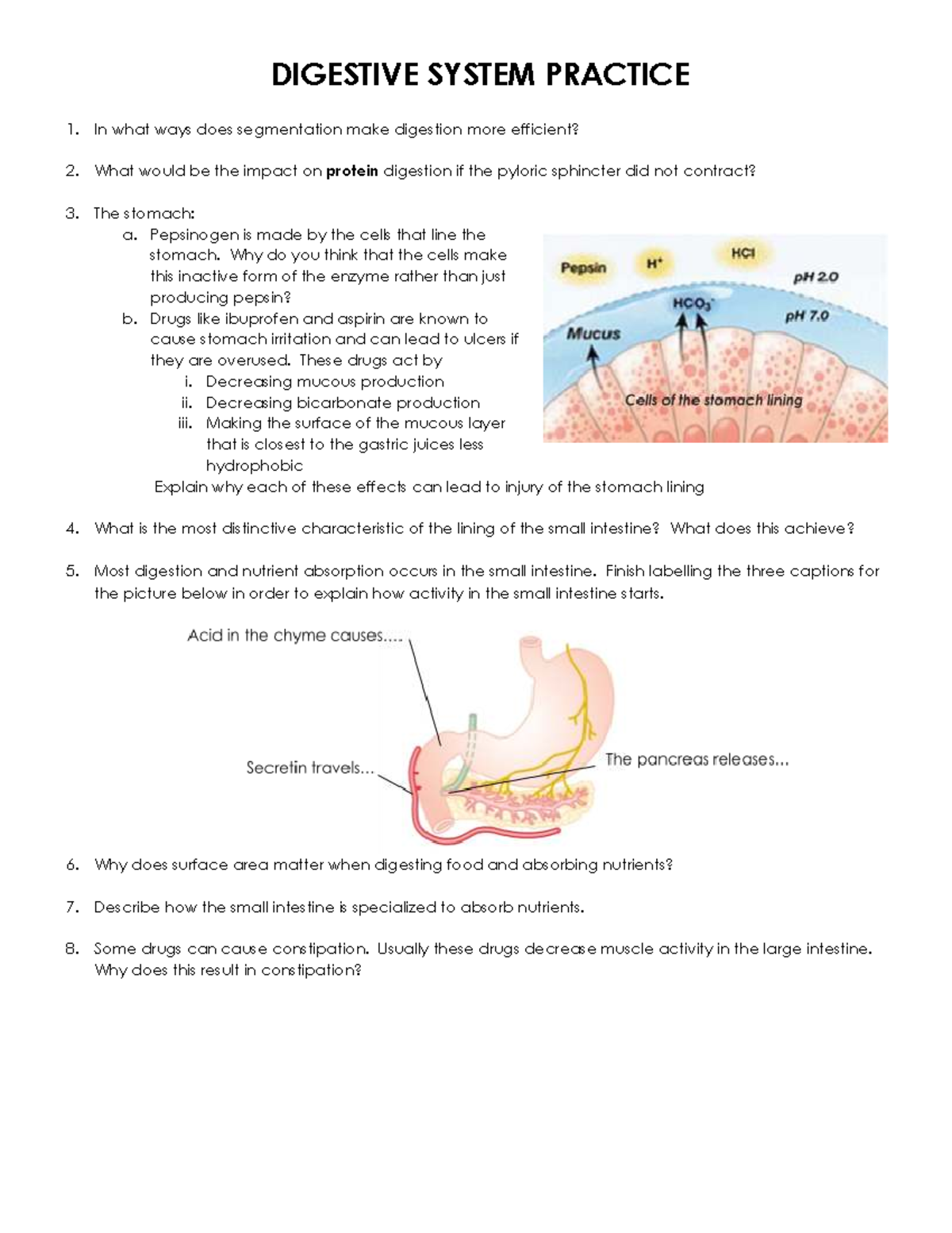 007 DIGESTIVE SYSTEM PRACTICE: Efficiency & Impact on Digestion - Studocu