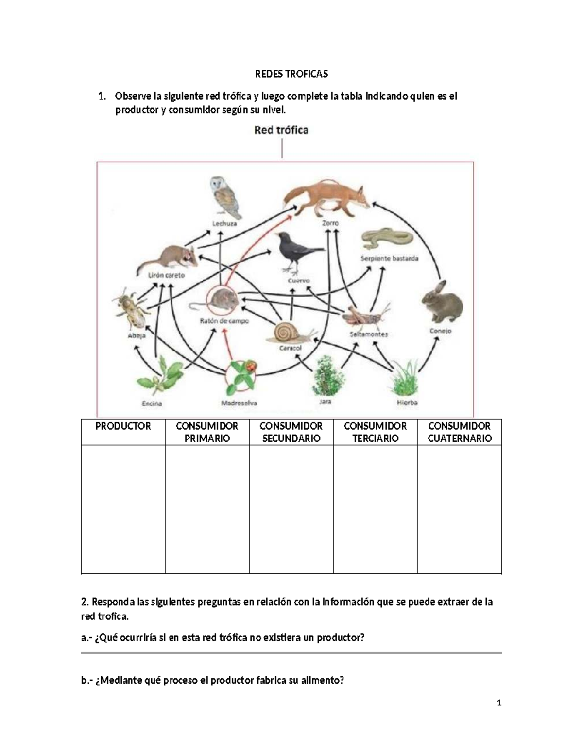 redes-tr-ficas-ejercicio-de-productores-y-consumidores-studocu
