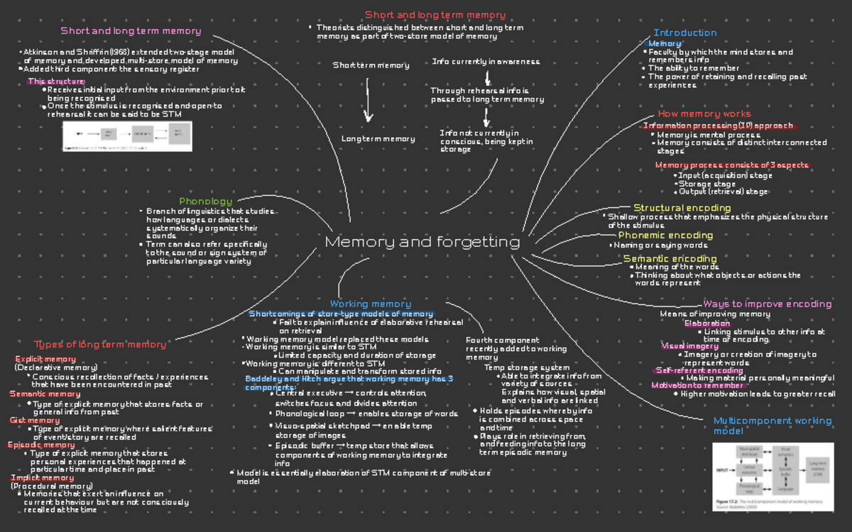 Memory and Forgetting: Insights into STM and LTM Models - Studocu