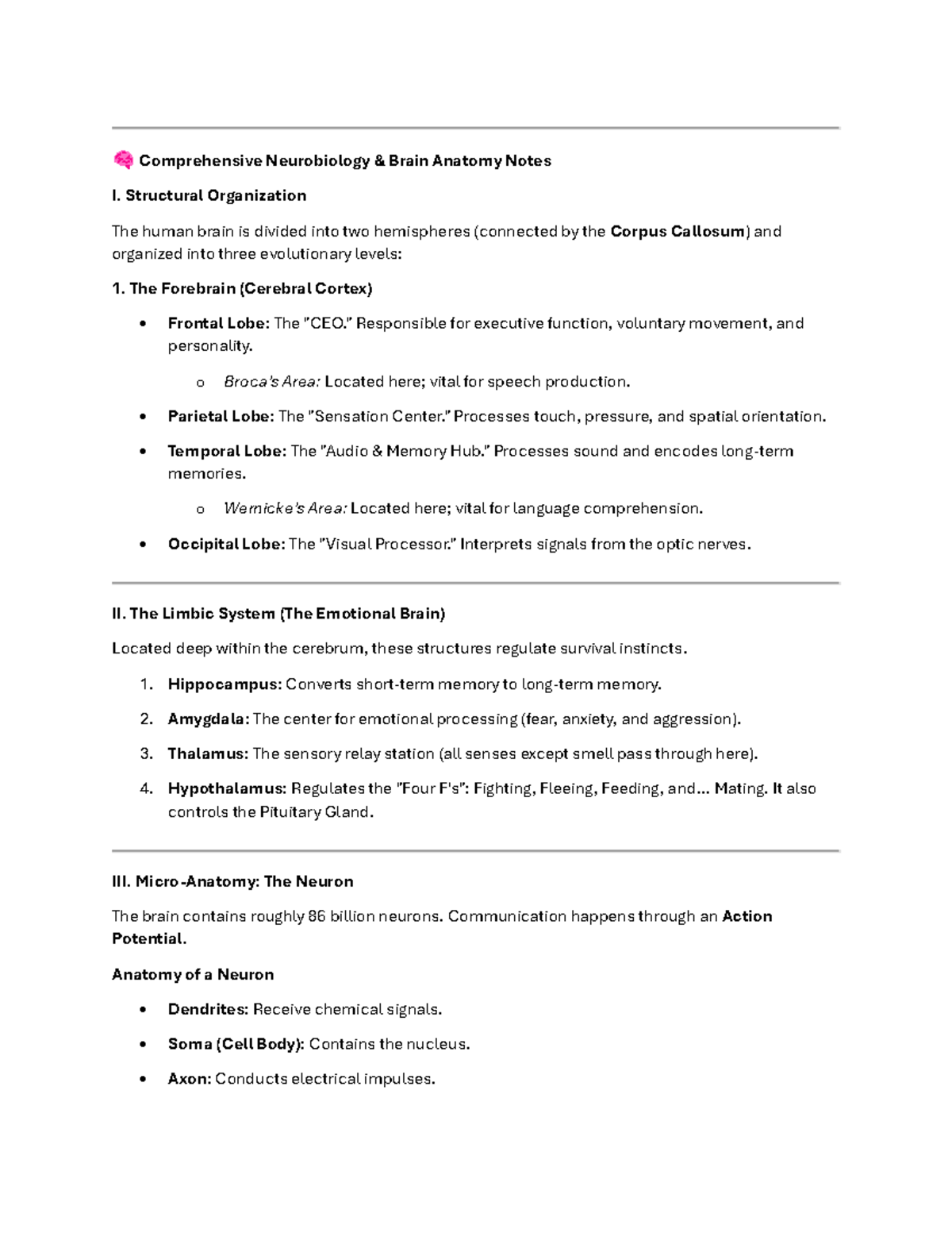 Comprehensive Neurobiology Notes I: Brain Anatomy & Function - Studocu