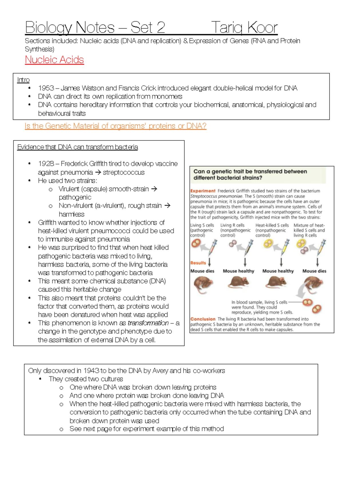 Biology Notes Set 4 (Genetics): Mendelian Genetics, Mitosis & Meiosis ...