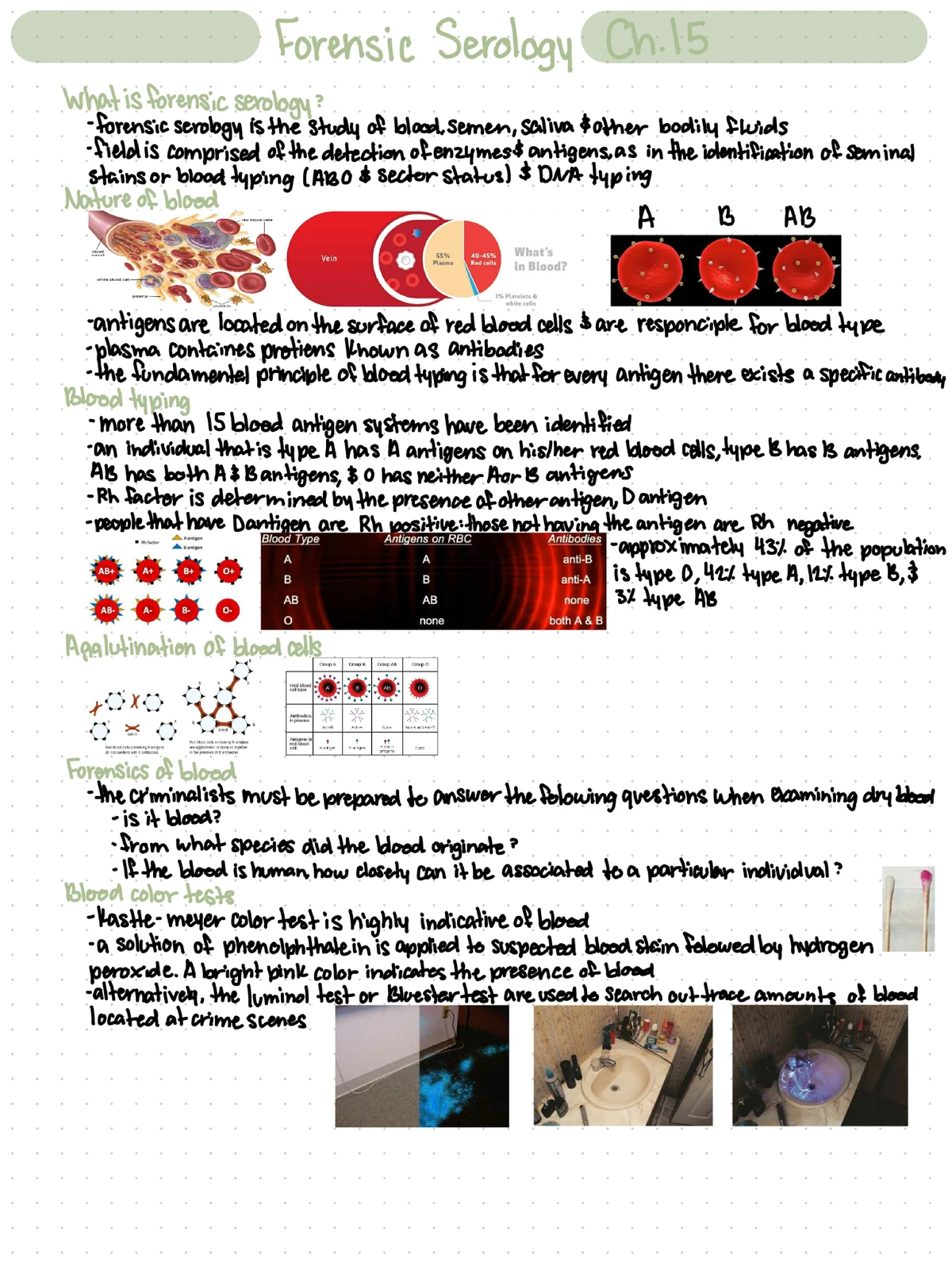 Forensic Science Analysis: Firearms, Tool Marks & Serology Insights ...