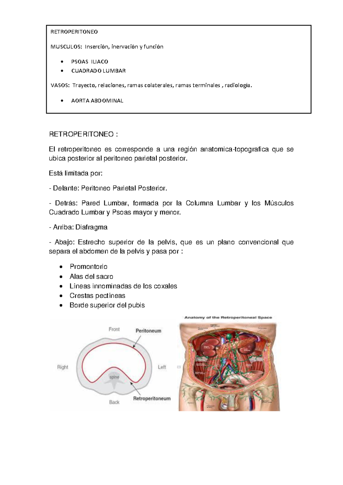 GE Retroperitoneo: Anatomía y Vasos de la Aorta Abdominal - Studocu