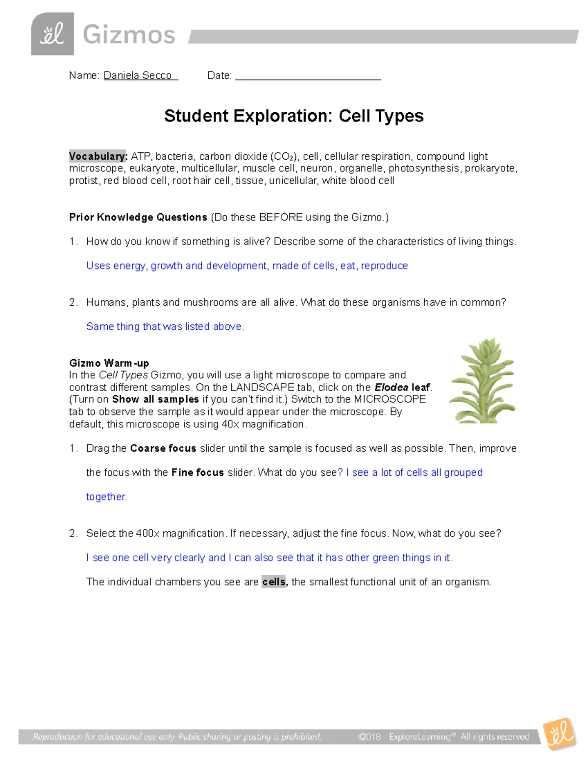 Biology Gizmo - Cell Division - What do cells need to do between ...