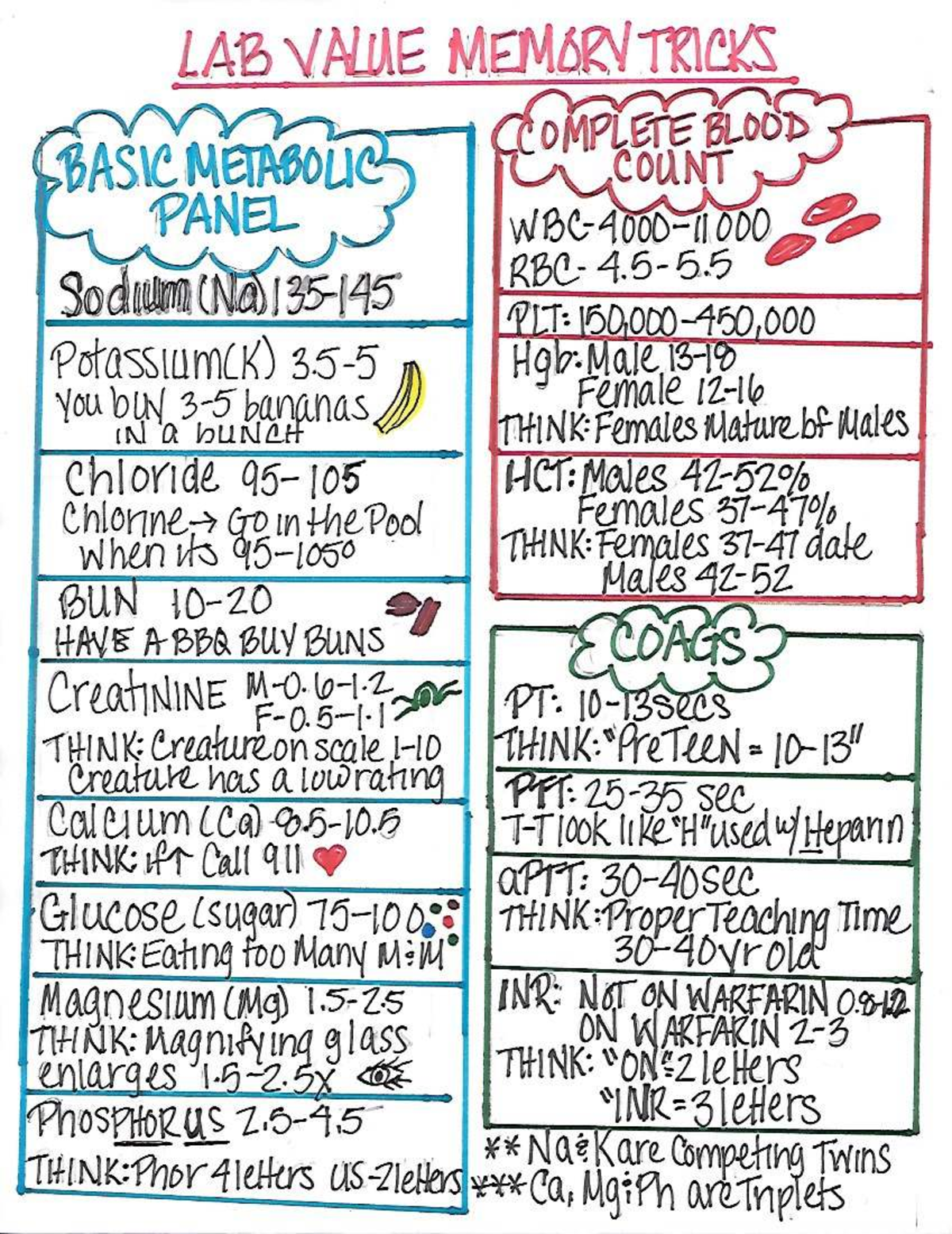 LAB VALUES MEMORY TRICKS: COMPLETE BLOOD COUNT & METABOLIC PANEL - Studocu