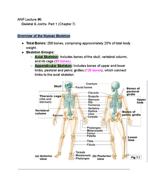 [Solved] Which of the following is most correct regarding the relative ...