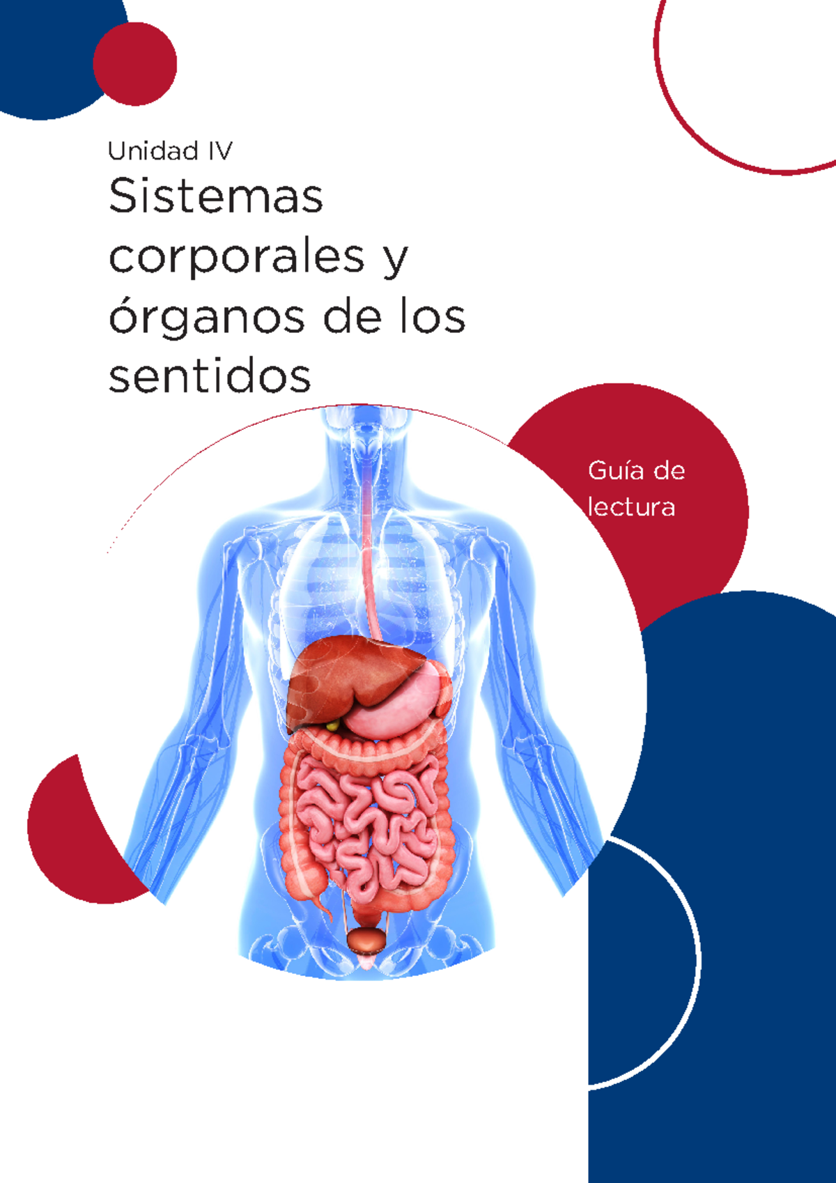 Unidad IV - Sistemas corporales y órganos de los sentidos - Guía de ...