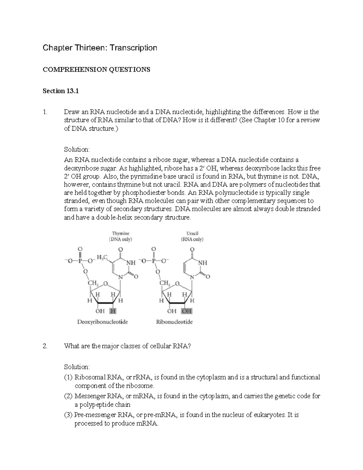 Chapter 13 Pierce - Chapter Thirteen: Transcription COMPREHENSION ...