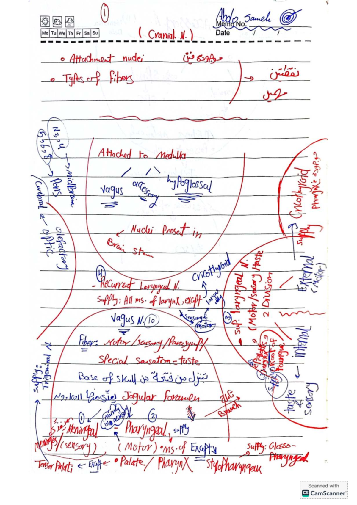 ملخص Vagus N. - B3 Abdo Sameh Memo on Cranial Nerves - Studocu