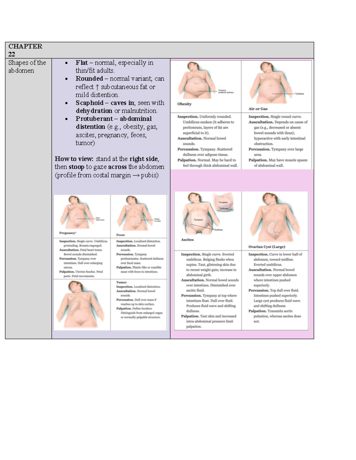 CHAPTER 22 Abdominal Assessment: Shapes, Inspection, and Findings - Studocu