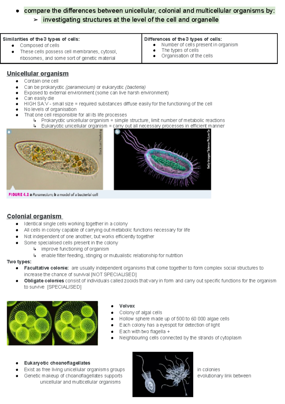 Unicellular And Multicellular Organisms Similarities