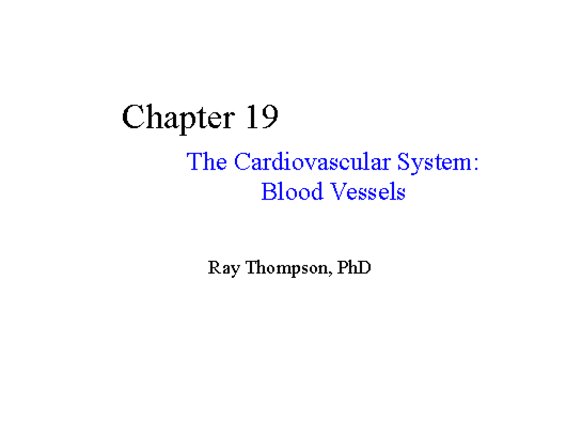 Chapter 19: Blood Vessels Lecture Notes (Anatomy & Physiology) - Studocu