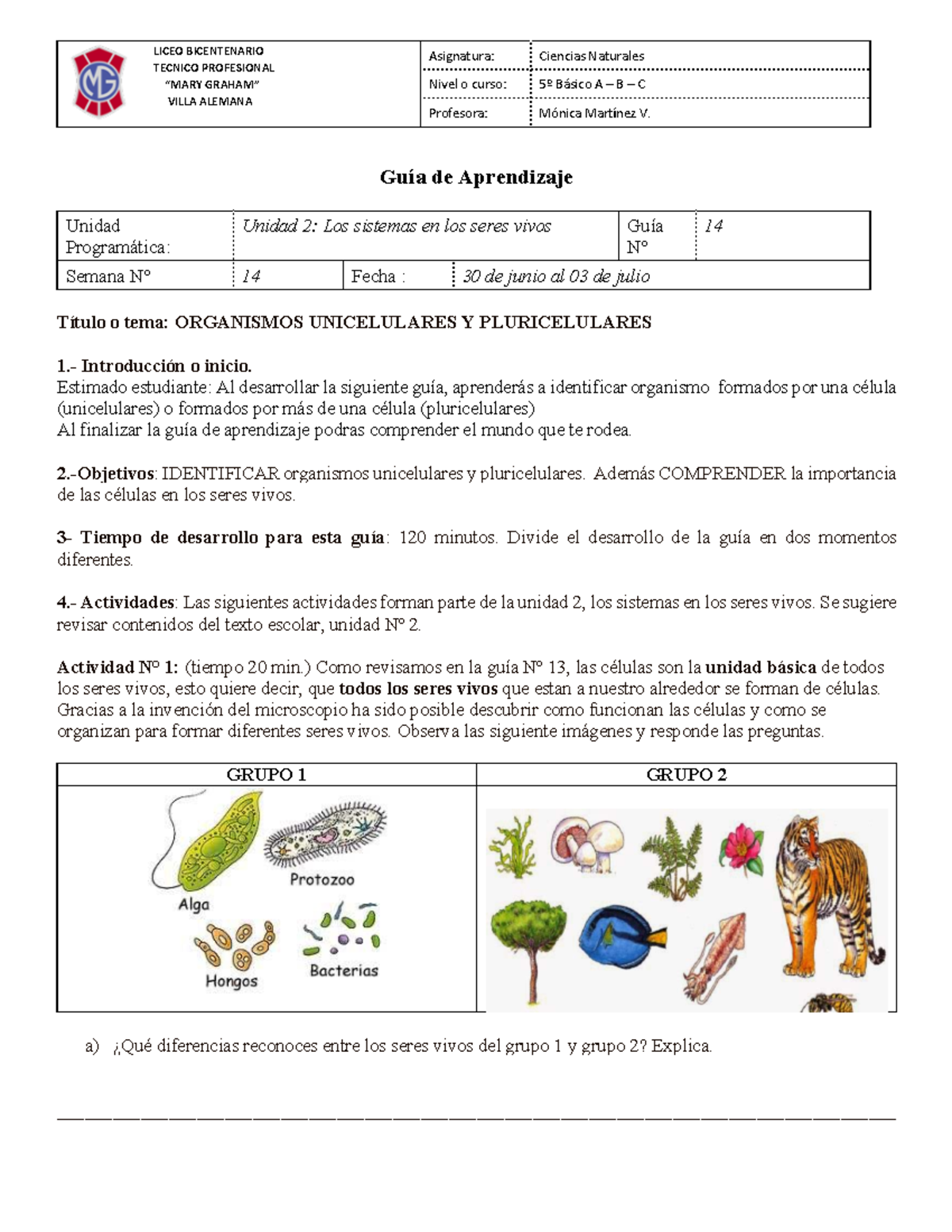 Cs 5EGB Guía 14: Organismos Unicelulares y Pluricelulares - Studocu