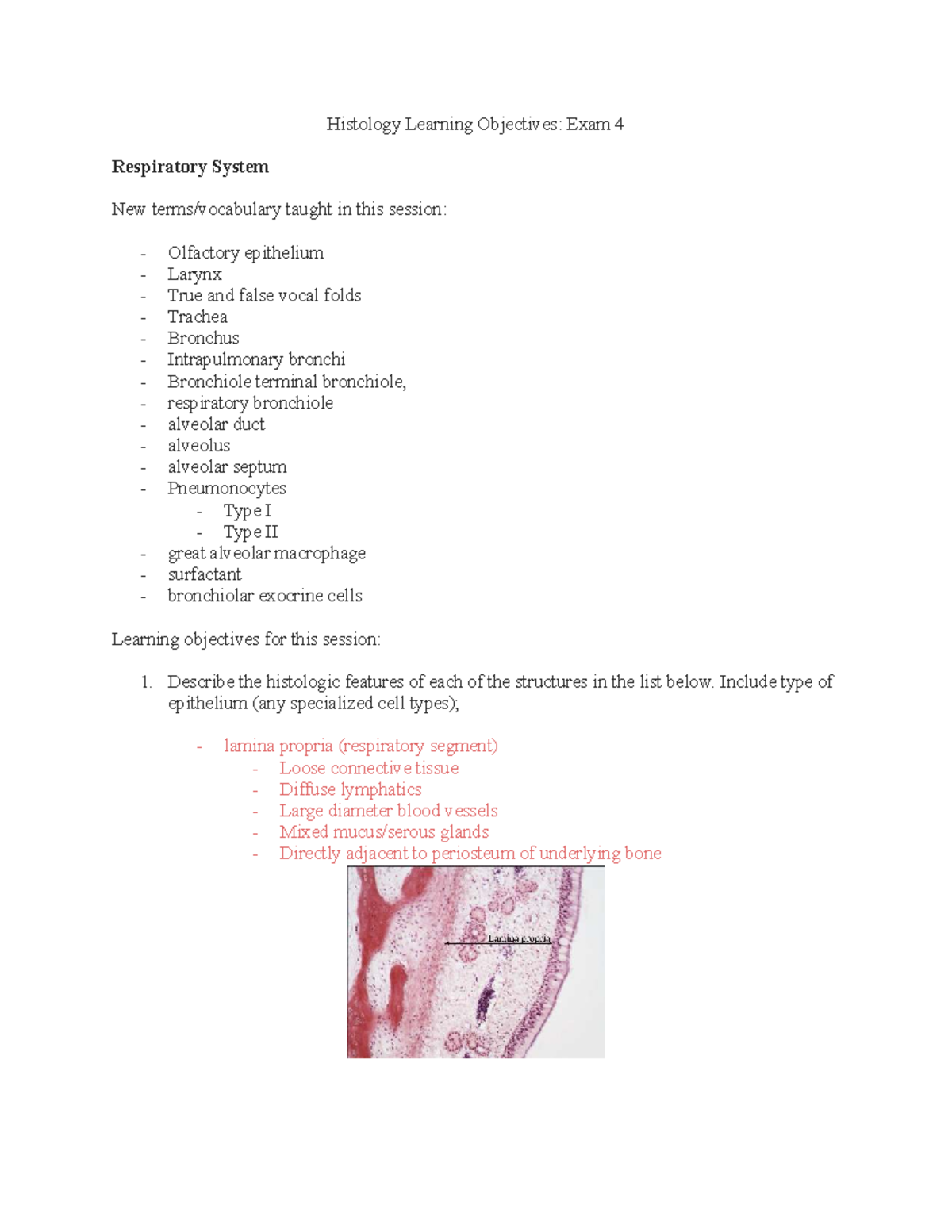 Histology Learning Objectives for Exam 4: Respiratory System & Blood ...