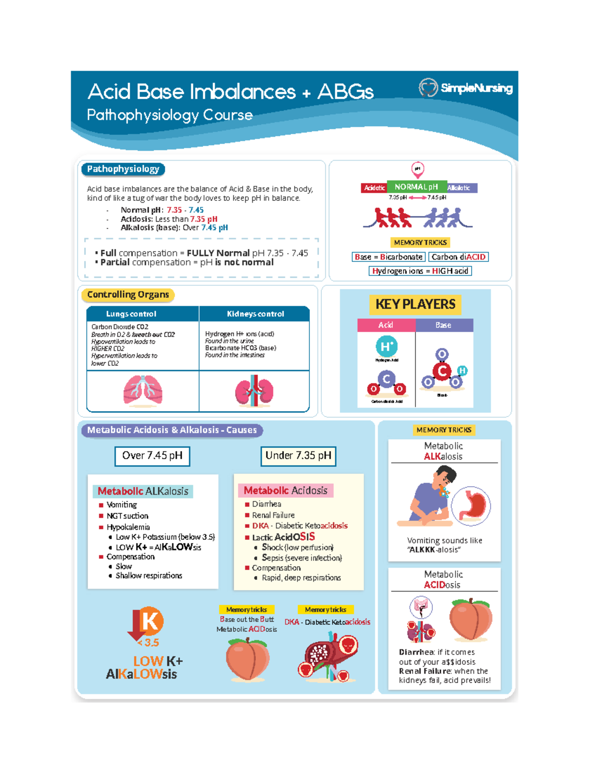Acid Base Balances - Acid Base Imbalances + ABGs Pathophysiology Course Acid base imbalances are ...