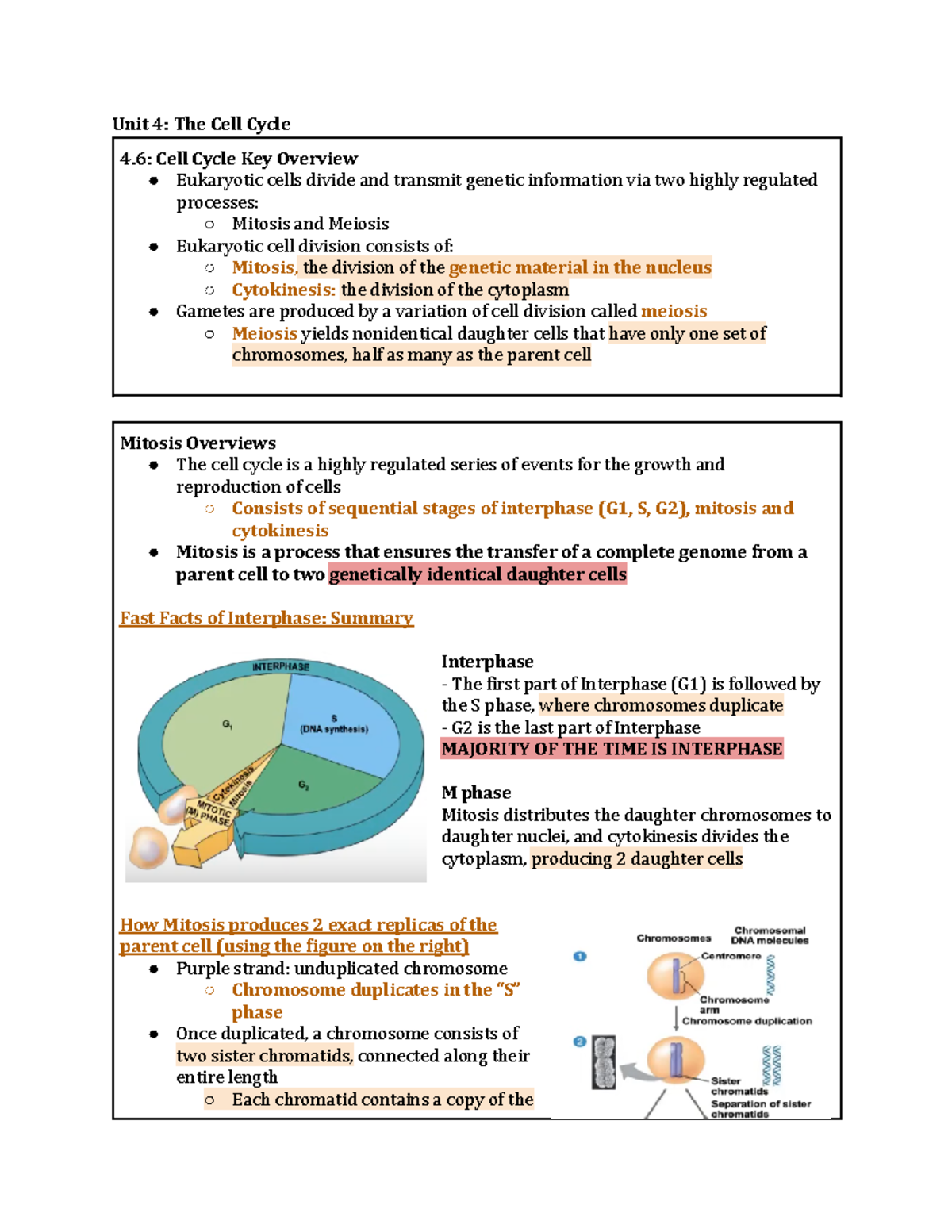 Unit 4 The Cell Cycle - Unit 4: The Cell Cycle 4: Cell Cycle Key ...